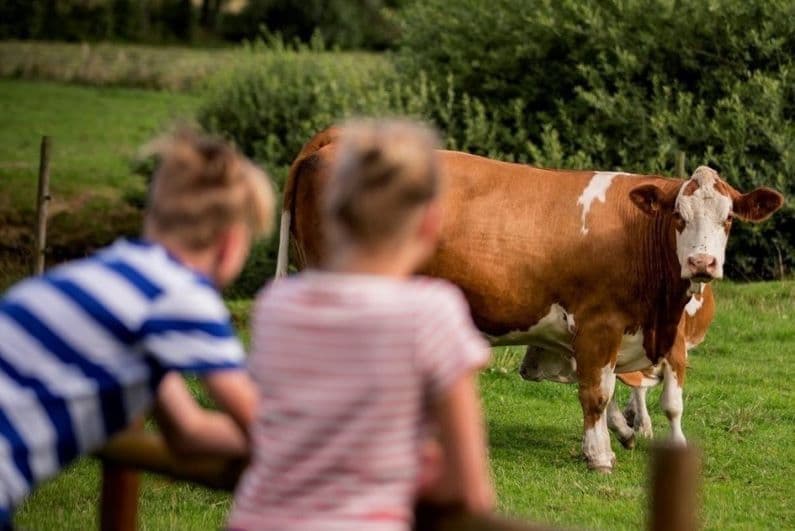 HKFoods’ Responsibility Programme places greater emphasis on ...