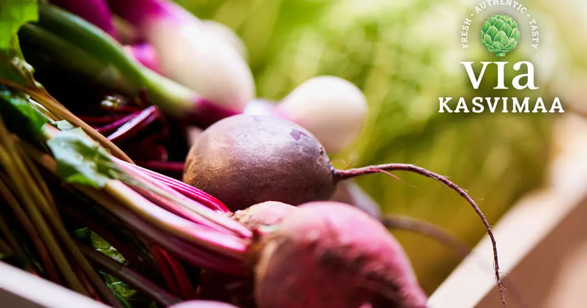Via Kasvimaa: Ready-to-cook vegetables - HKFoods
